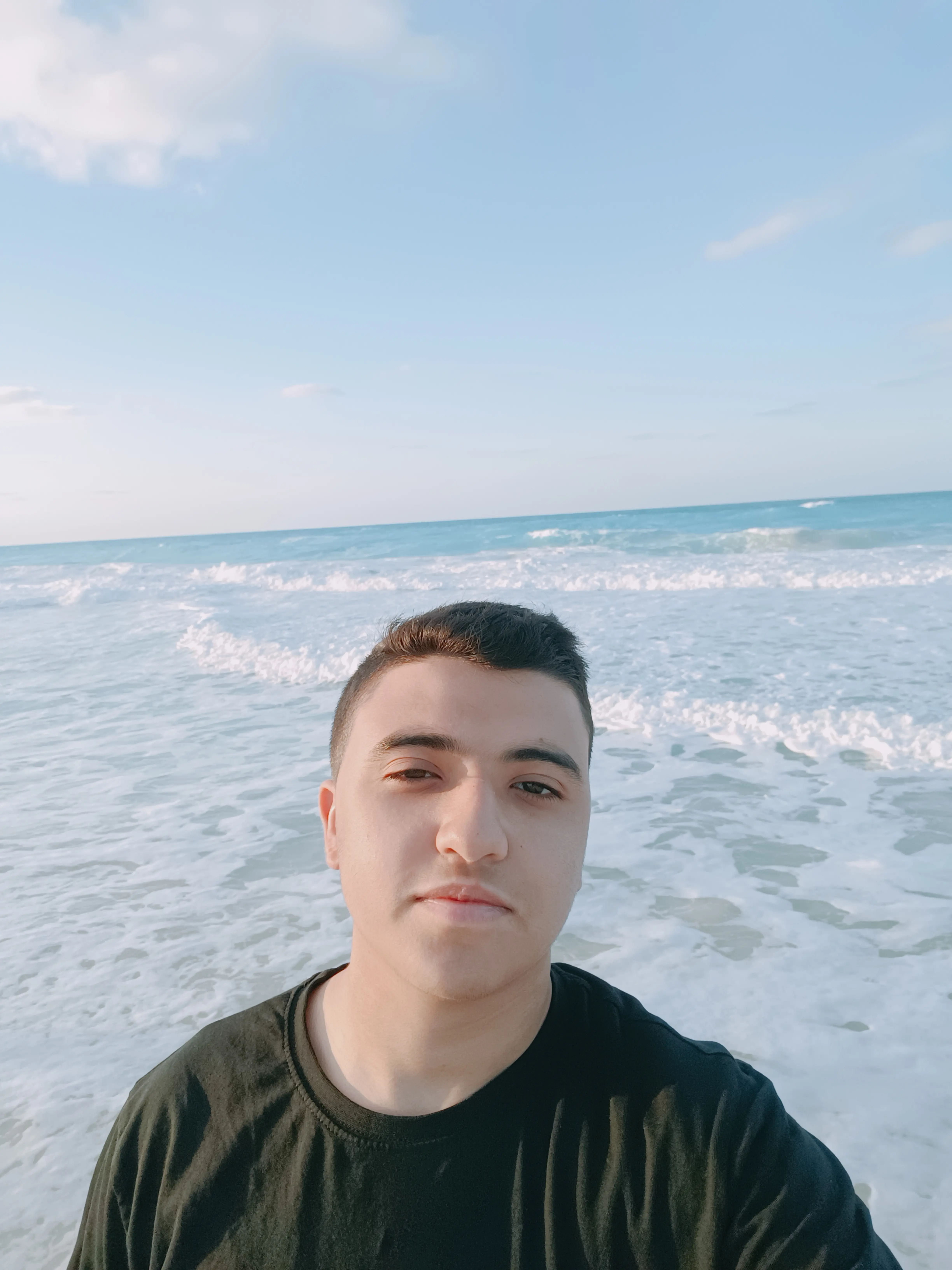IEEE ZSB